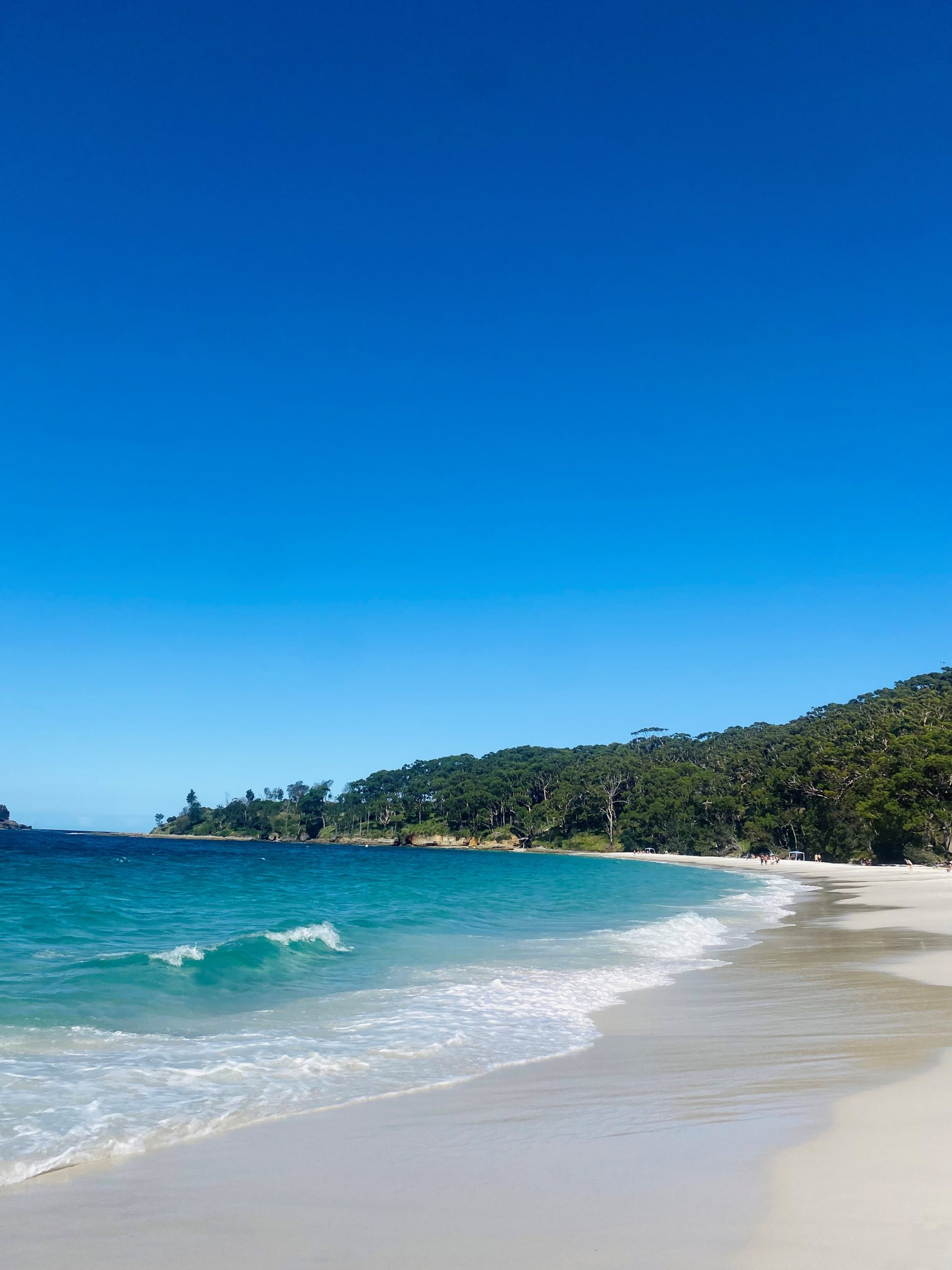 Roadtrip down to Jervis Bay - Studera utomlands